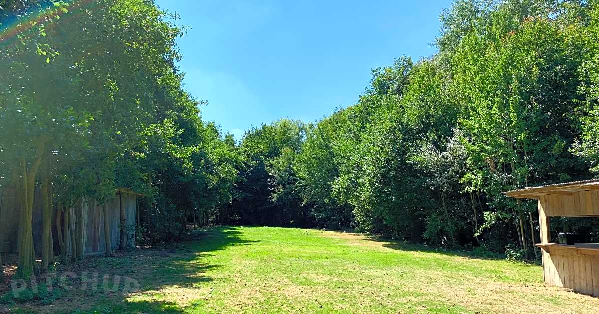 Little Nash Woods Camping, Canterbury | Pitchup.com