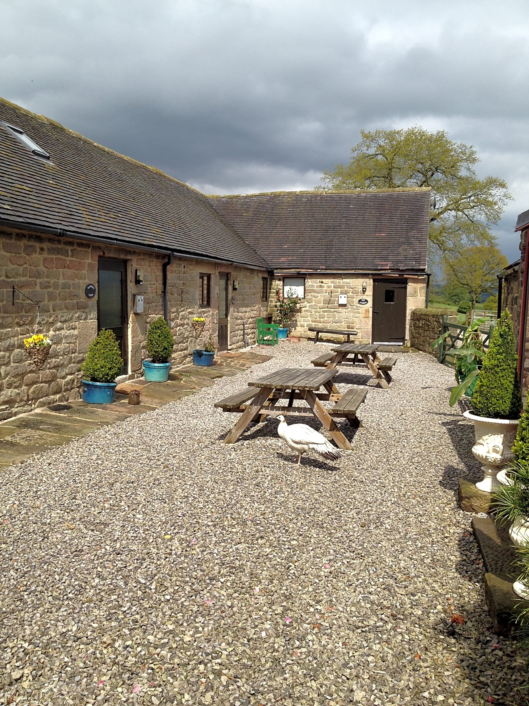Barn Farm, Matlock - Pitchup®