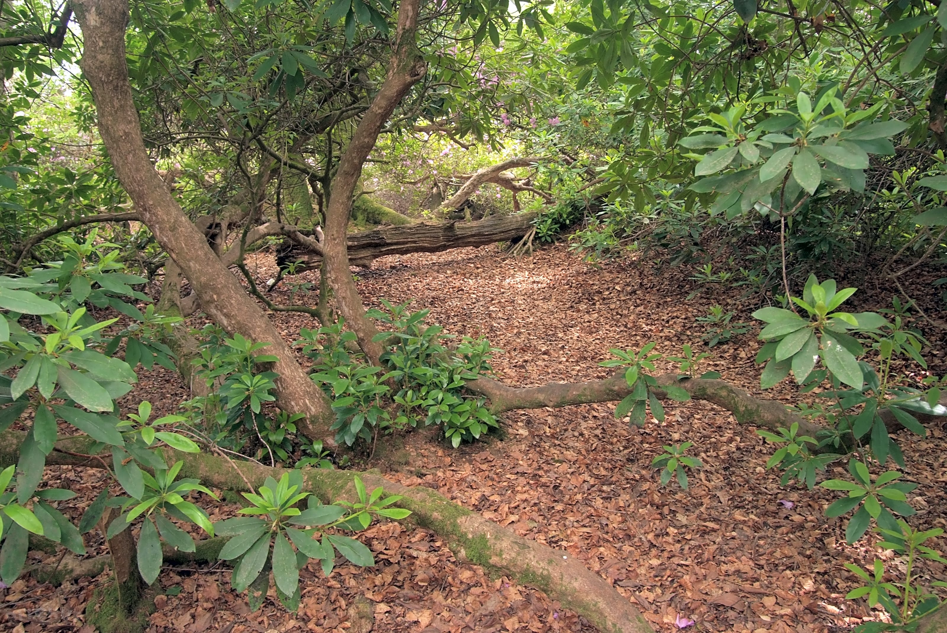 Avon Tyrrell Outdoor Activity Centre, Bransgore - Updated 2020 prices ...