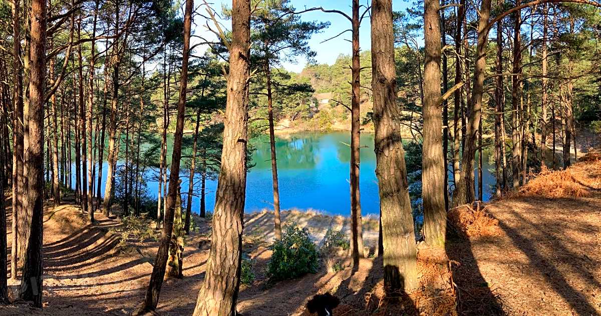 Blue Pool Camping, Wareham | Pitchup.com