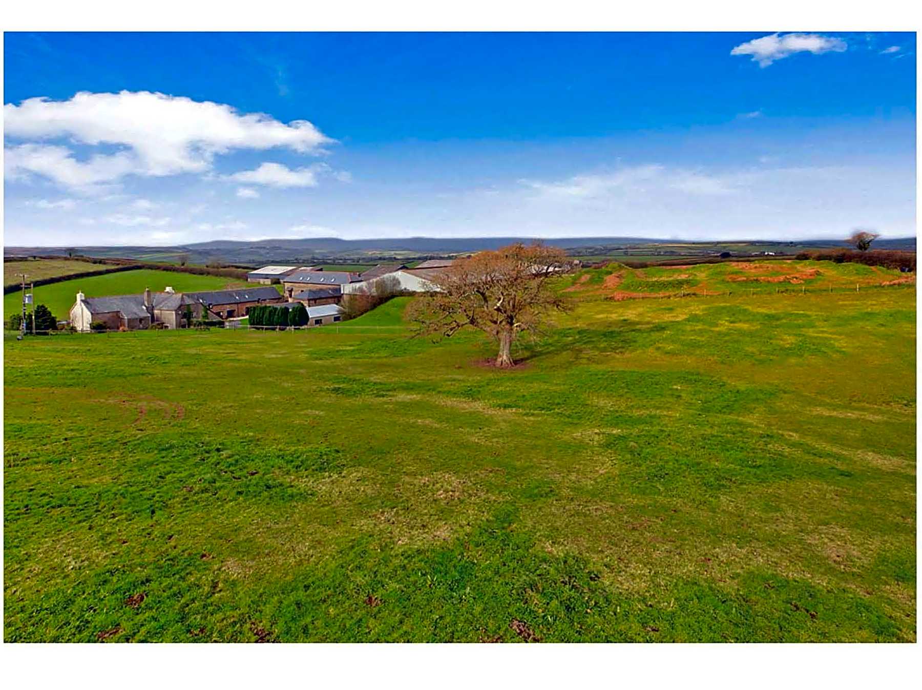 Wheeldon Farm, Halwell - Updated 2021 prices - Pitchup®