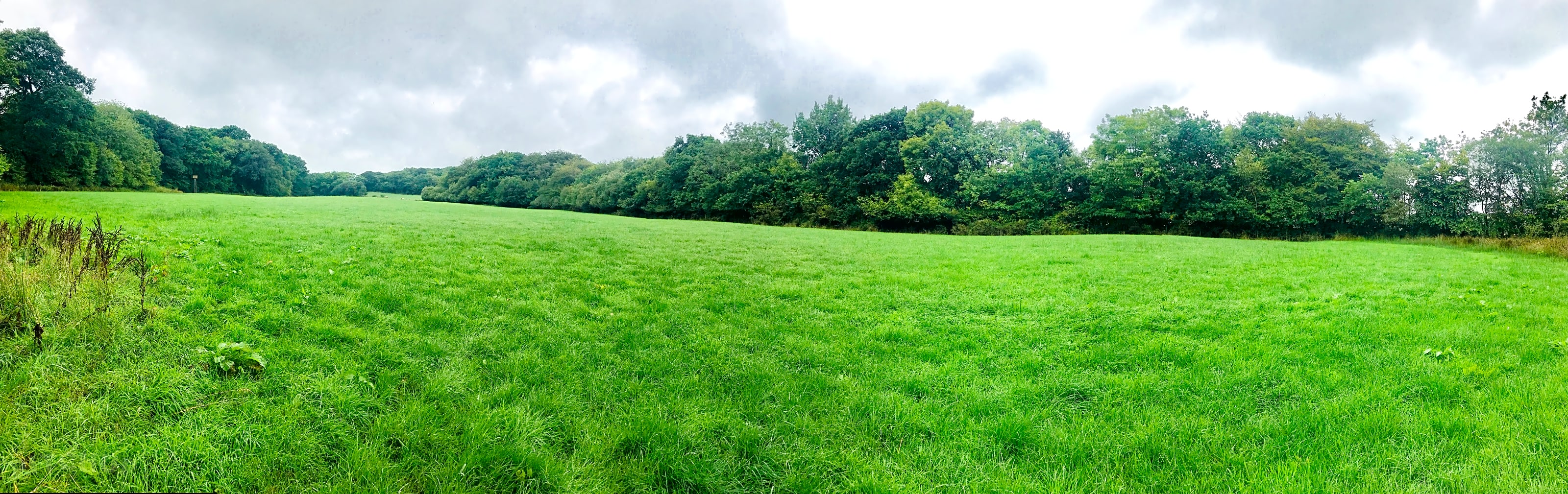 Hayne Farm Campsite, Holsworthy - Pitchup®