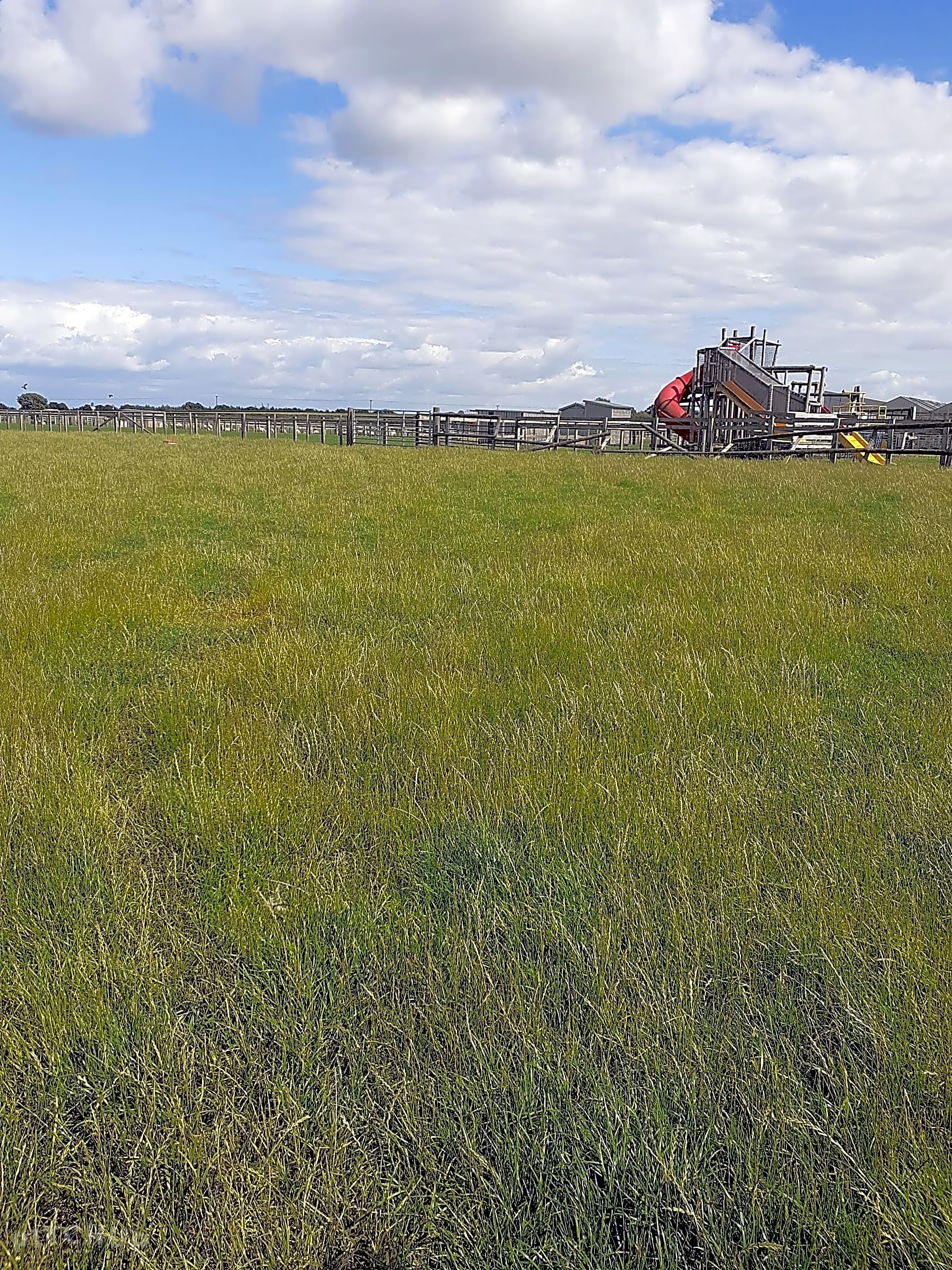 Swithens Farm, Rothwell - Updated 2020 prices - Pitchup®