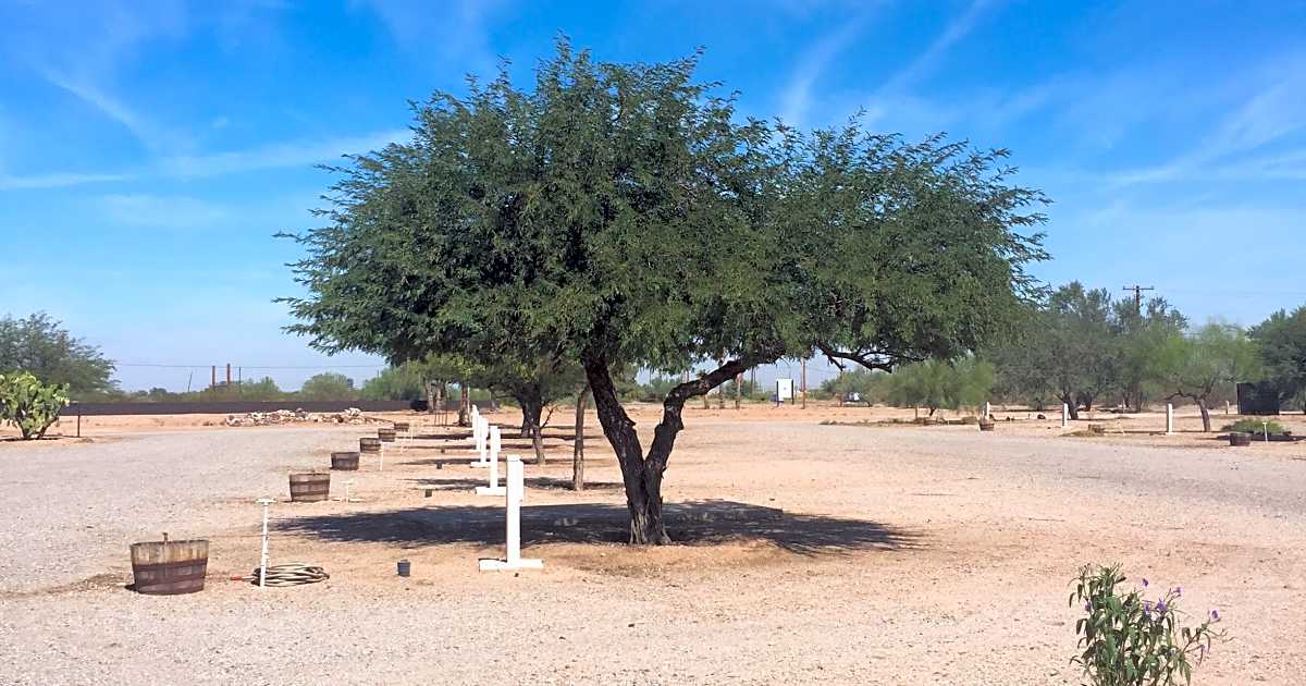 Wild West Ranch & RV Resort, Maricopa - Pitchup®