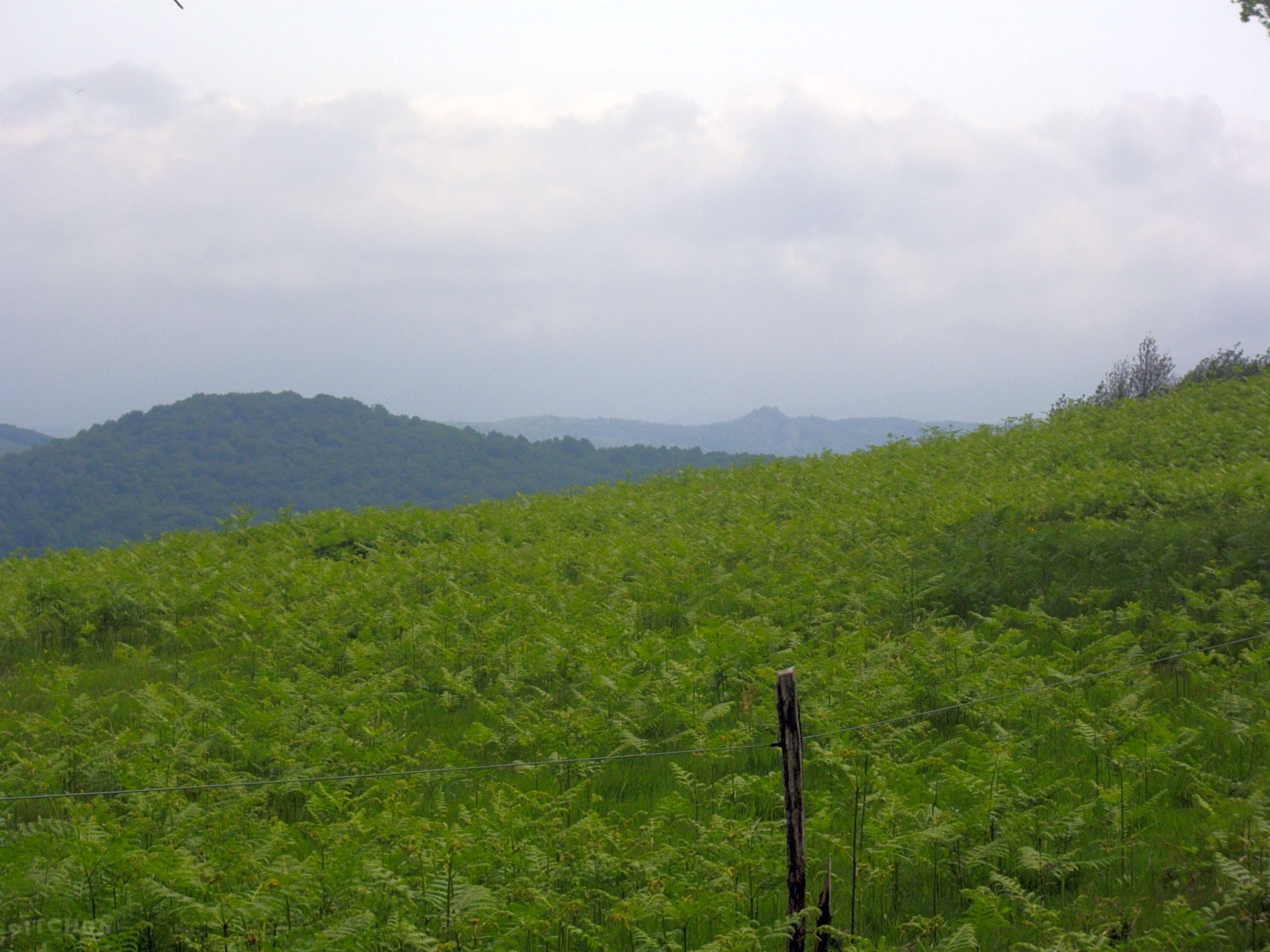 Les Chalets d'Alzen, Alzen - Pitchup®