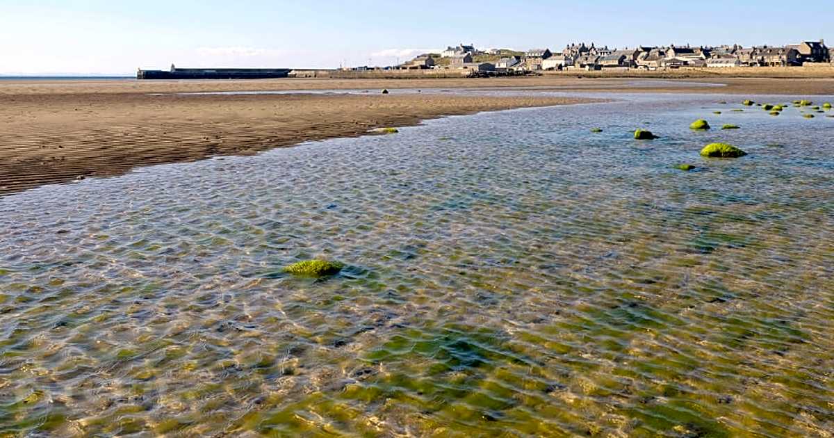 Burghead Holiday Park, Burghead - Updated 2024 prices | Pitchup.com