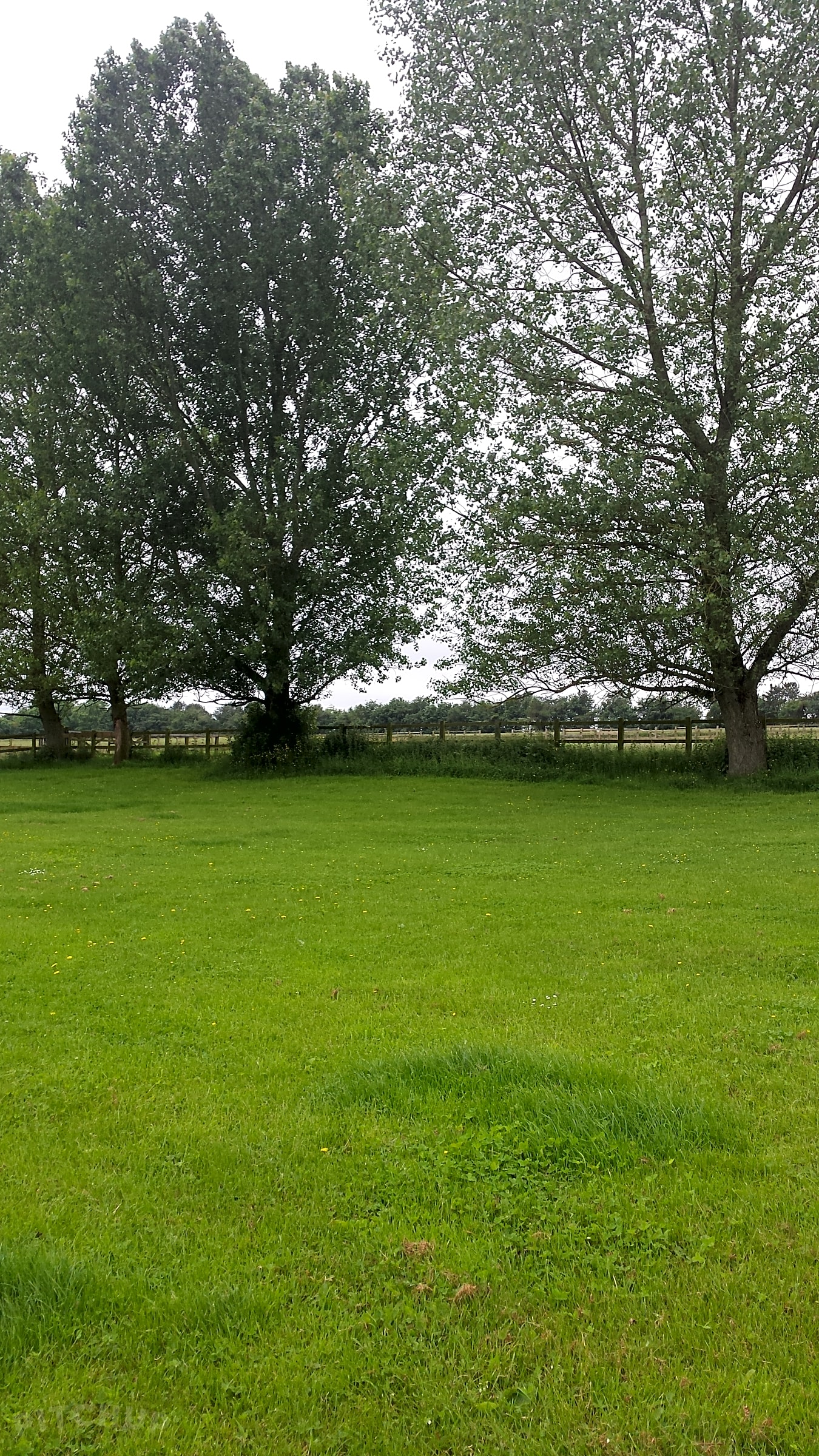 Oak Tree Farm Park, Pickering - Updated 2020 prices - Pitchup®