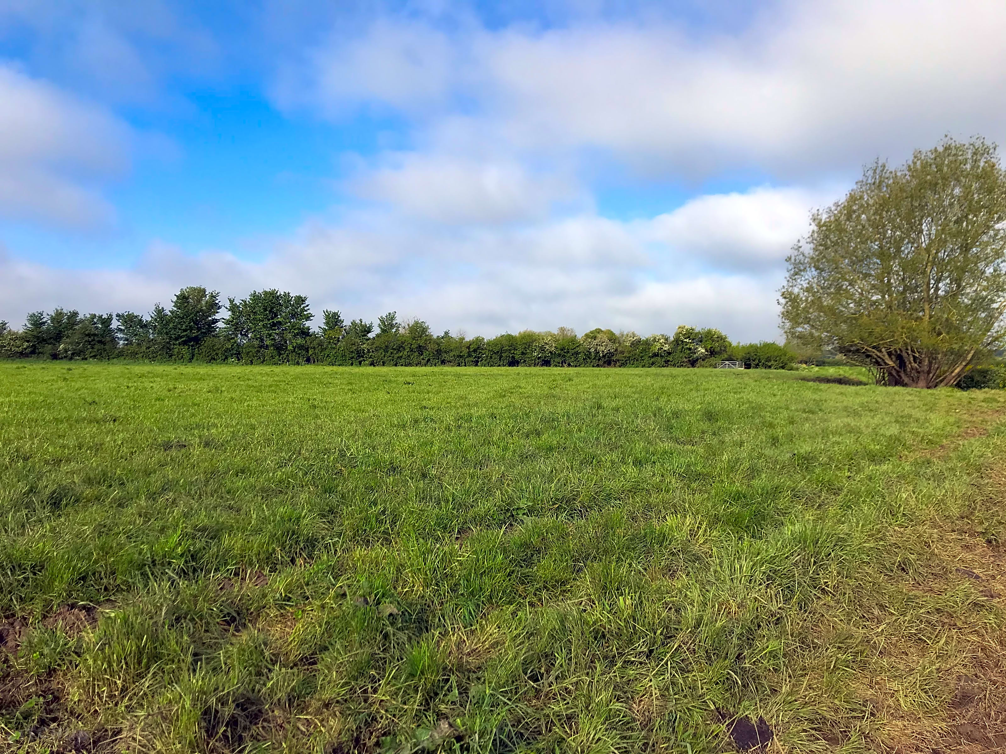 Willowbank Farm, North Barrow, Somerset - Updated 2026 prices | Pitchup.com