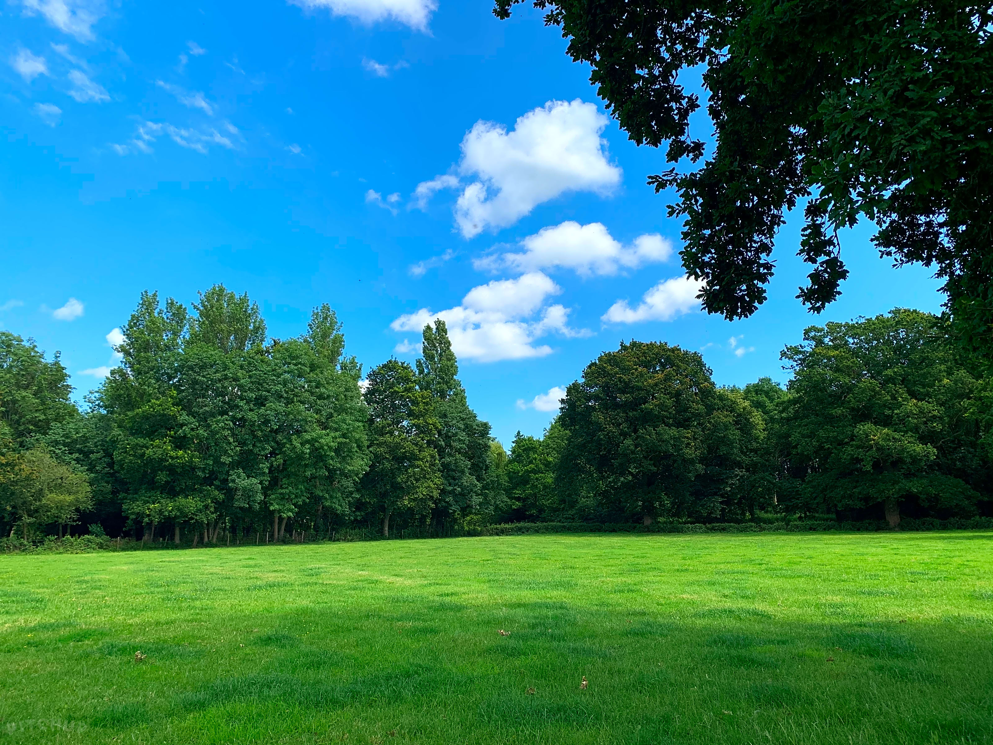 Apperley Court Farm, Apperley, Gloucestershire | Pitchup.com