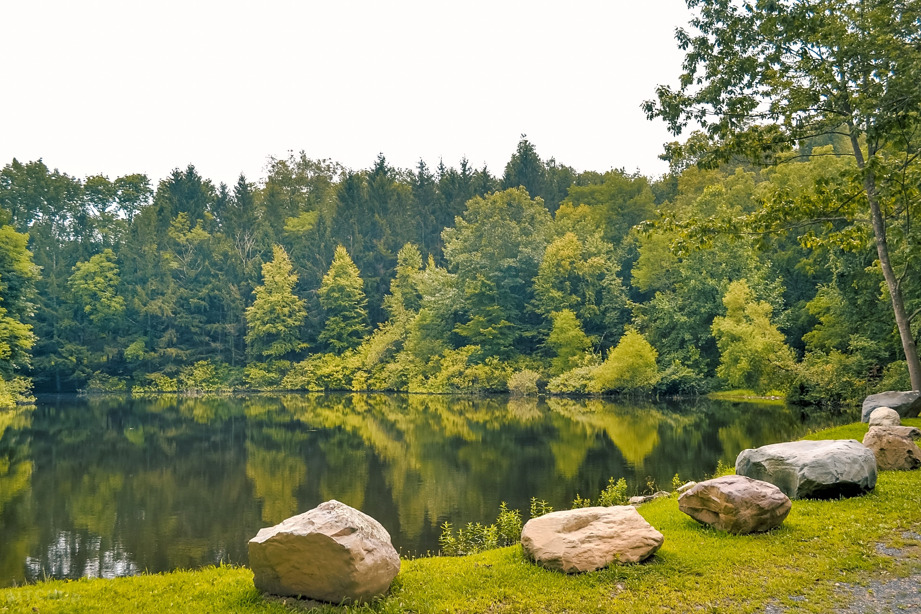 Cranberry Run Campground, East Stroudsburg, Pensilvânia | Pitchup.com