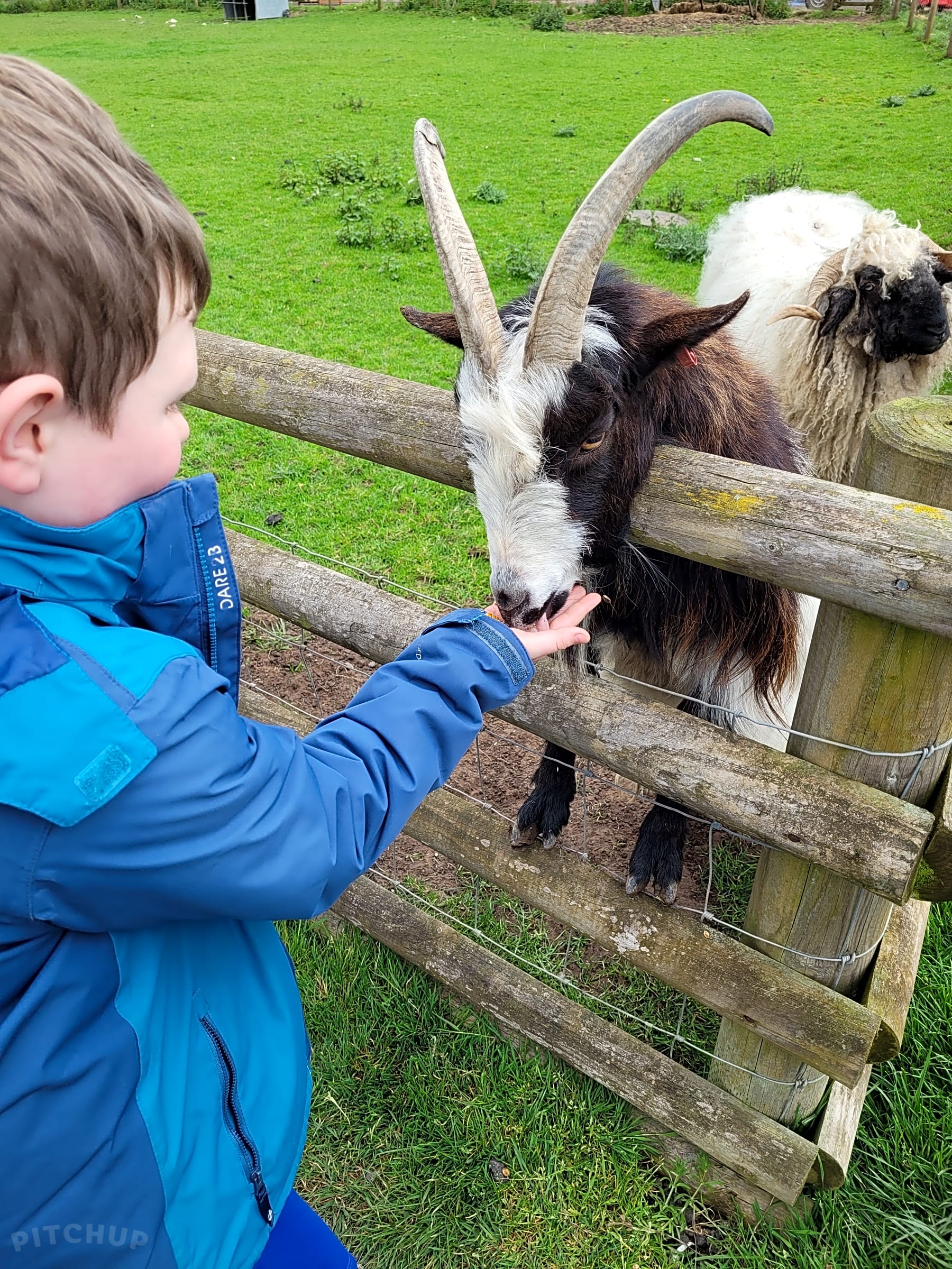 Red Lion Farm Touring Caravan Park, Stafford, Staffordshire | Pitchup.com