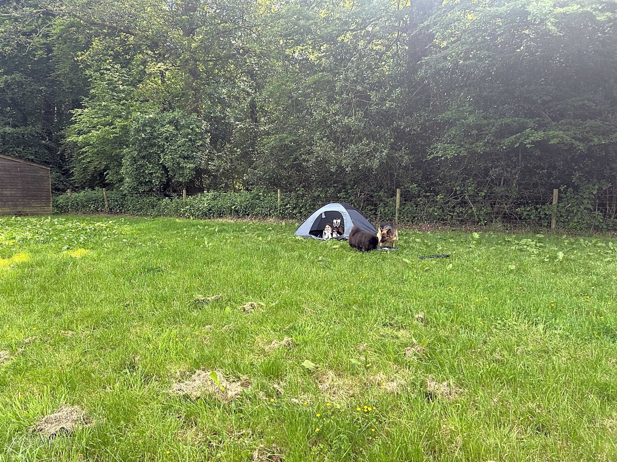 Forget Me Not Farm, Watlington, Oxfordshire | Pitchup.com