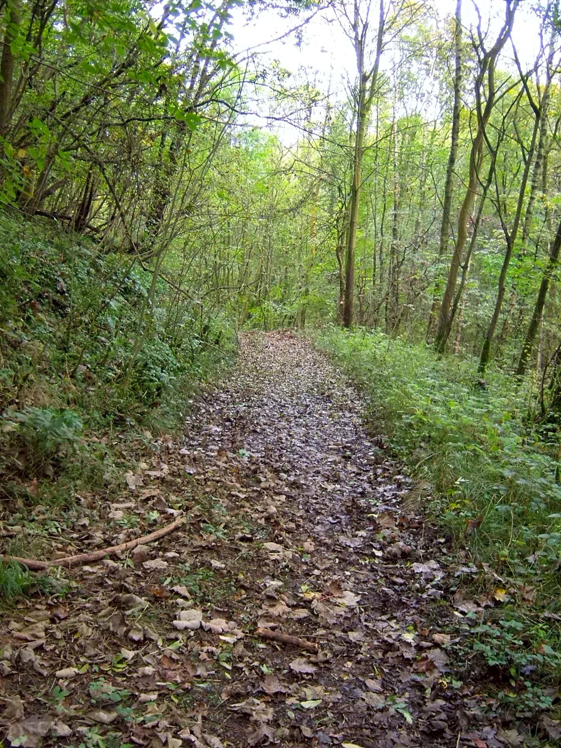 Three Rivers Park, Clitheroe, Lancashire | Pitchup.com