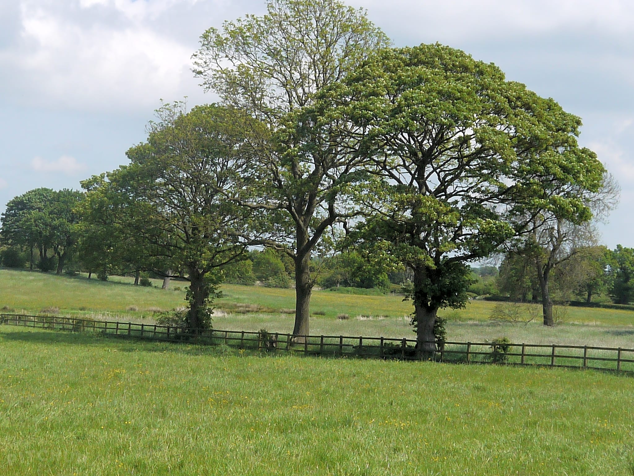 Yew Tree Farm, Alfreton, Derbyshire - Updated 2026 prices | Pitchup.com