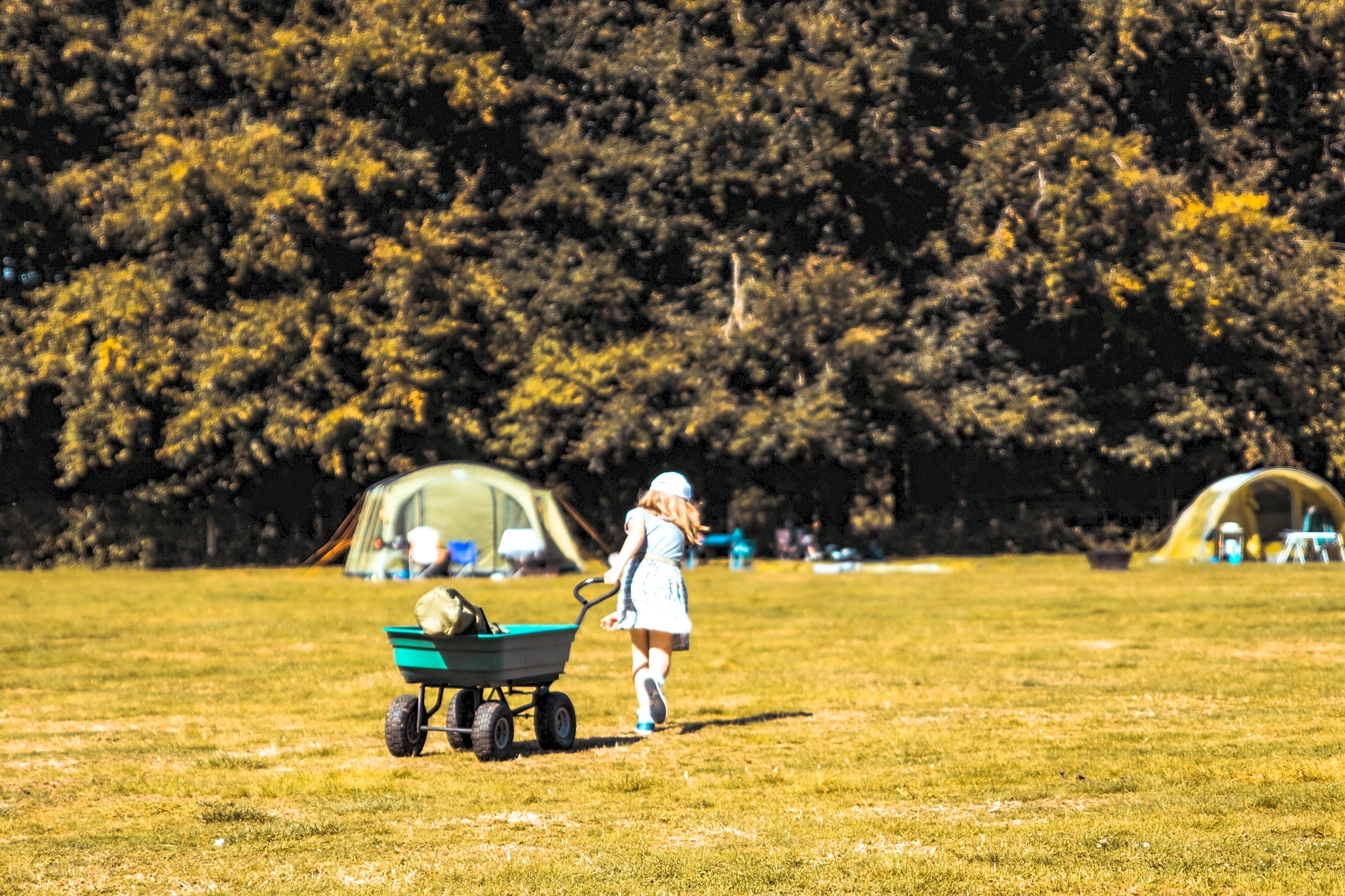 Embers Camping - Polesden Lacey, Dorking, Surrey | Pitchup.com