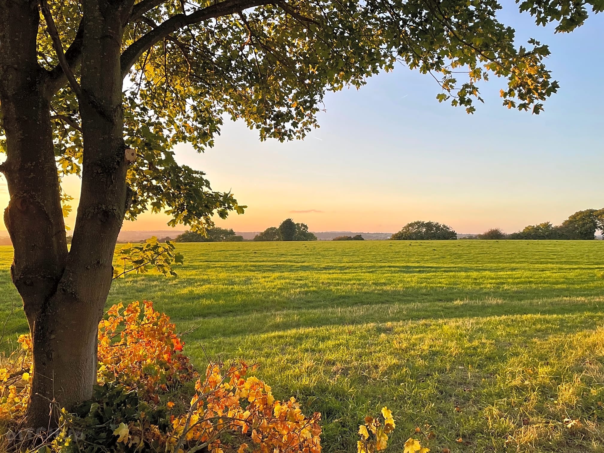 Millview Camping, East Bridgford, Nottinghamshire - Updated 2026 prices ...