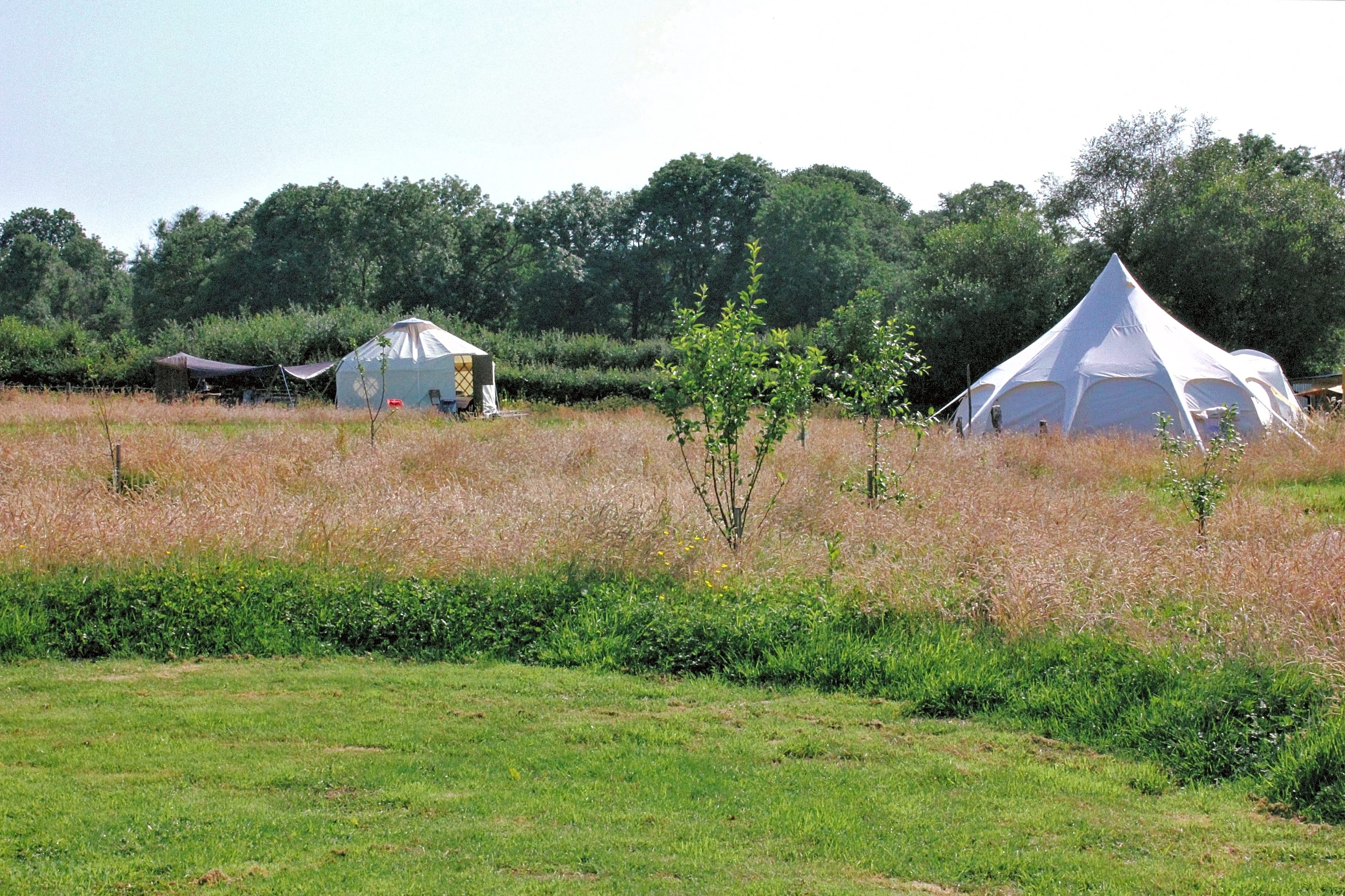 Ruby Country Camping, Highampton, Devon - Updated 2026 prices | Pitchup.com