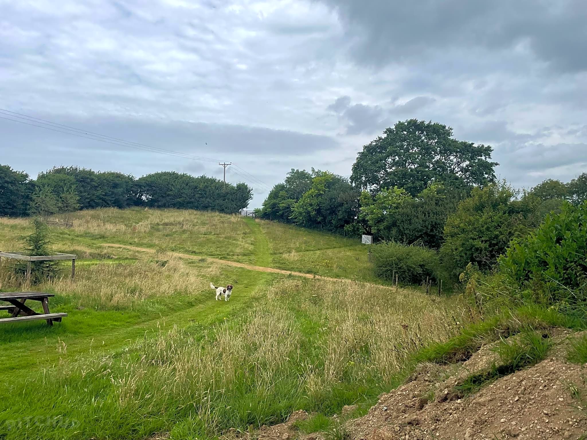 Ashen Cross Farm Camping, Looe, Cornwall - Updated 2026 prices ...