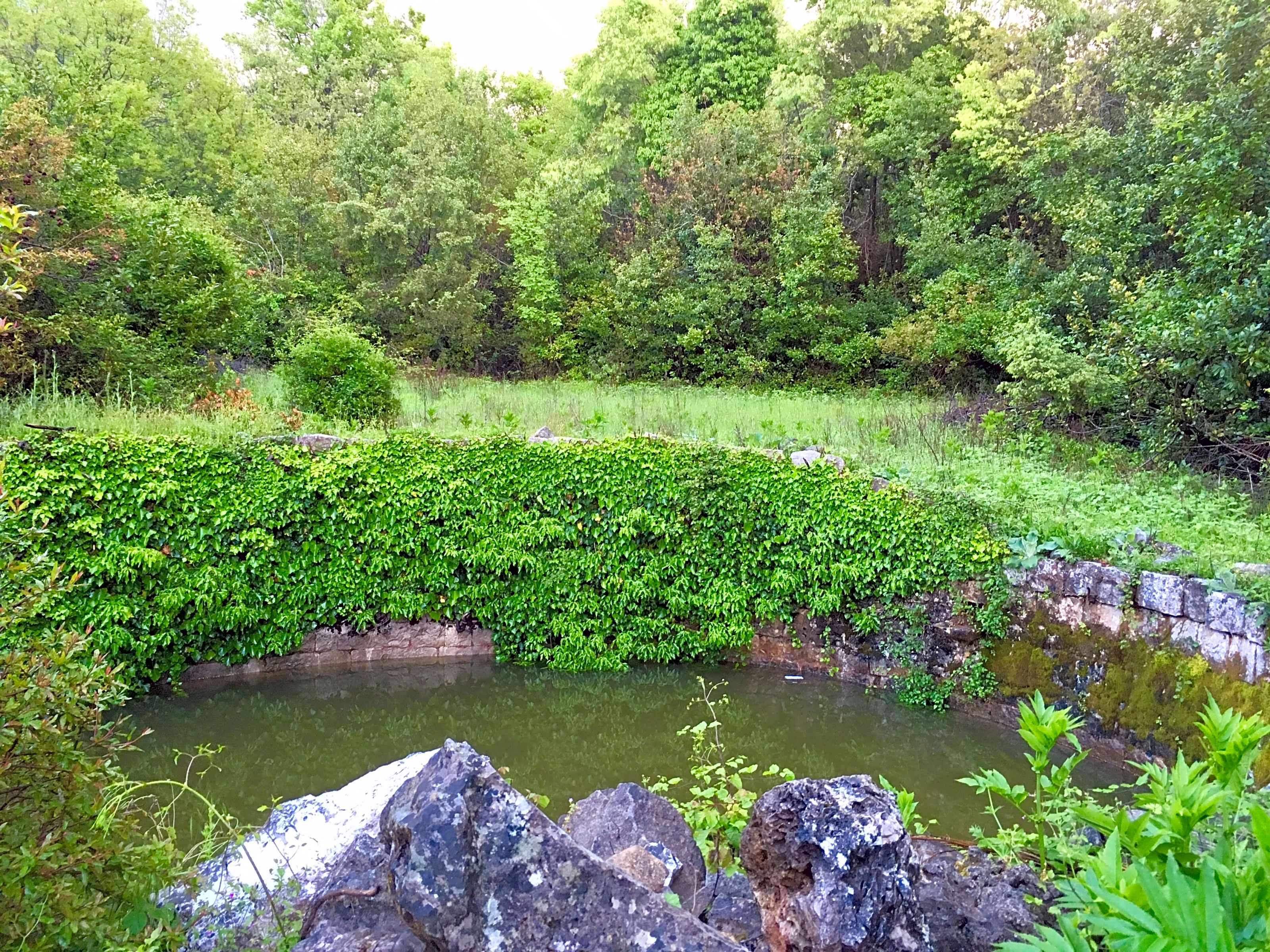 Pachamama Farmstay, Ukropci, Kotor | Pitchup.com