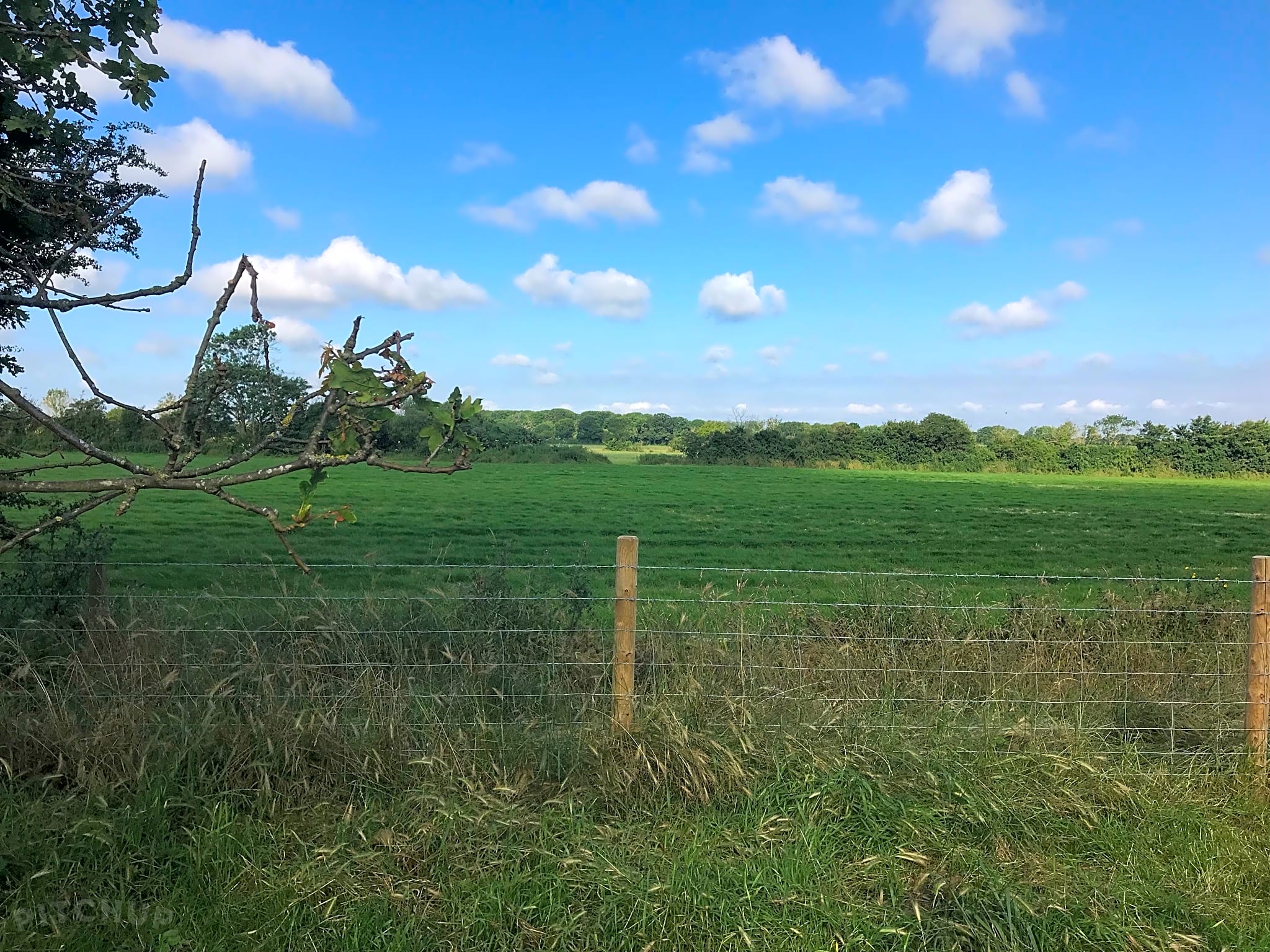 Peacock Farm Paddock, Southwold, Suffolk | Pitchup.com