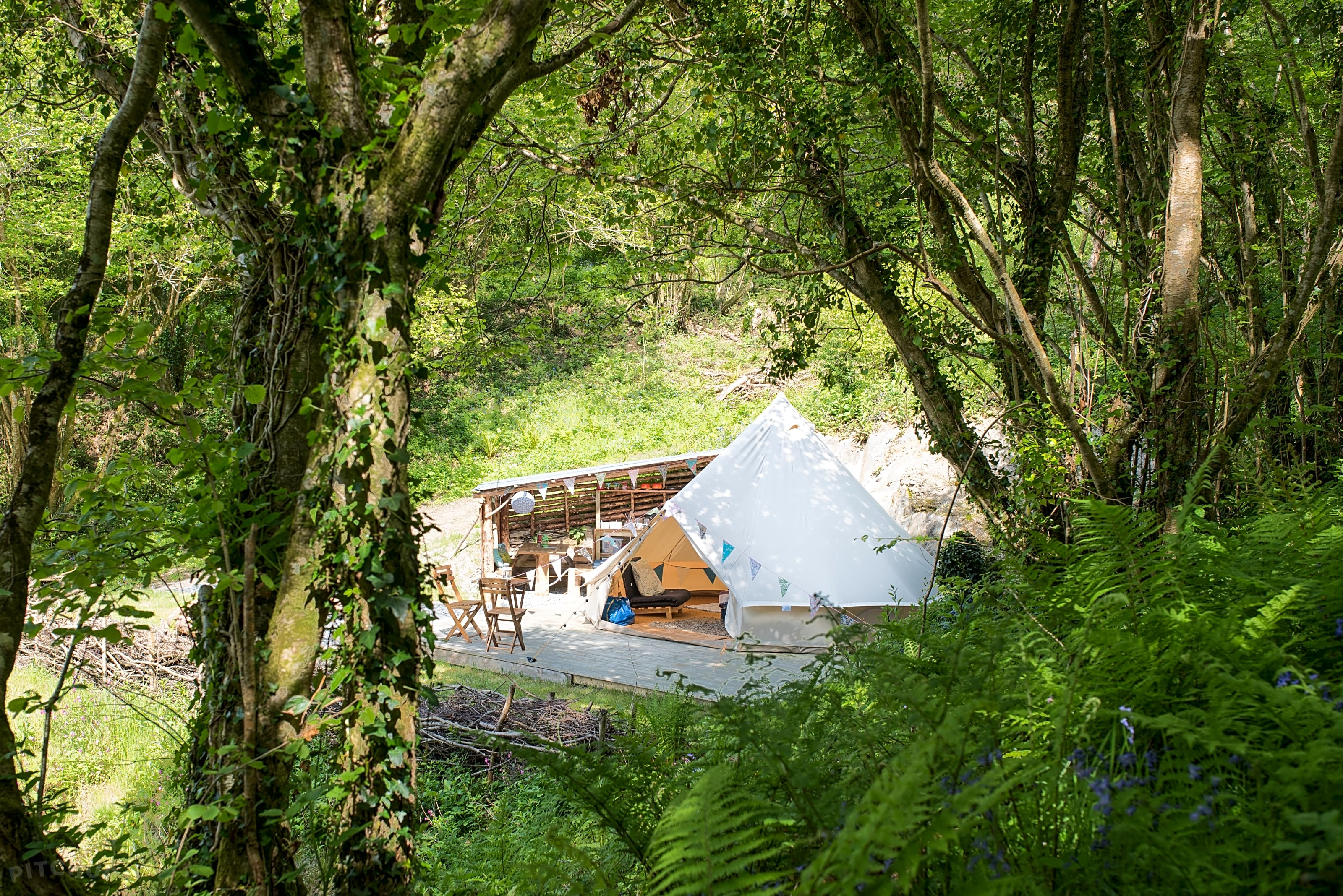 Nyth Robin, Aberdovey, Gwynedd - Updated 2026 prices | Pitchup.com