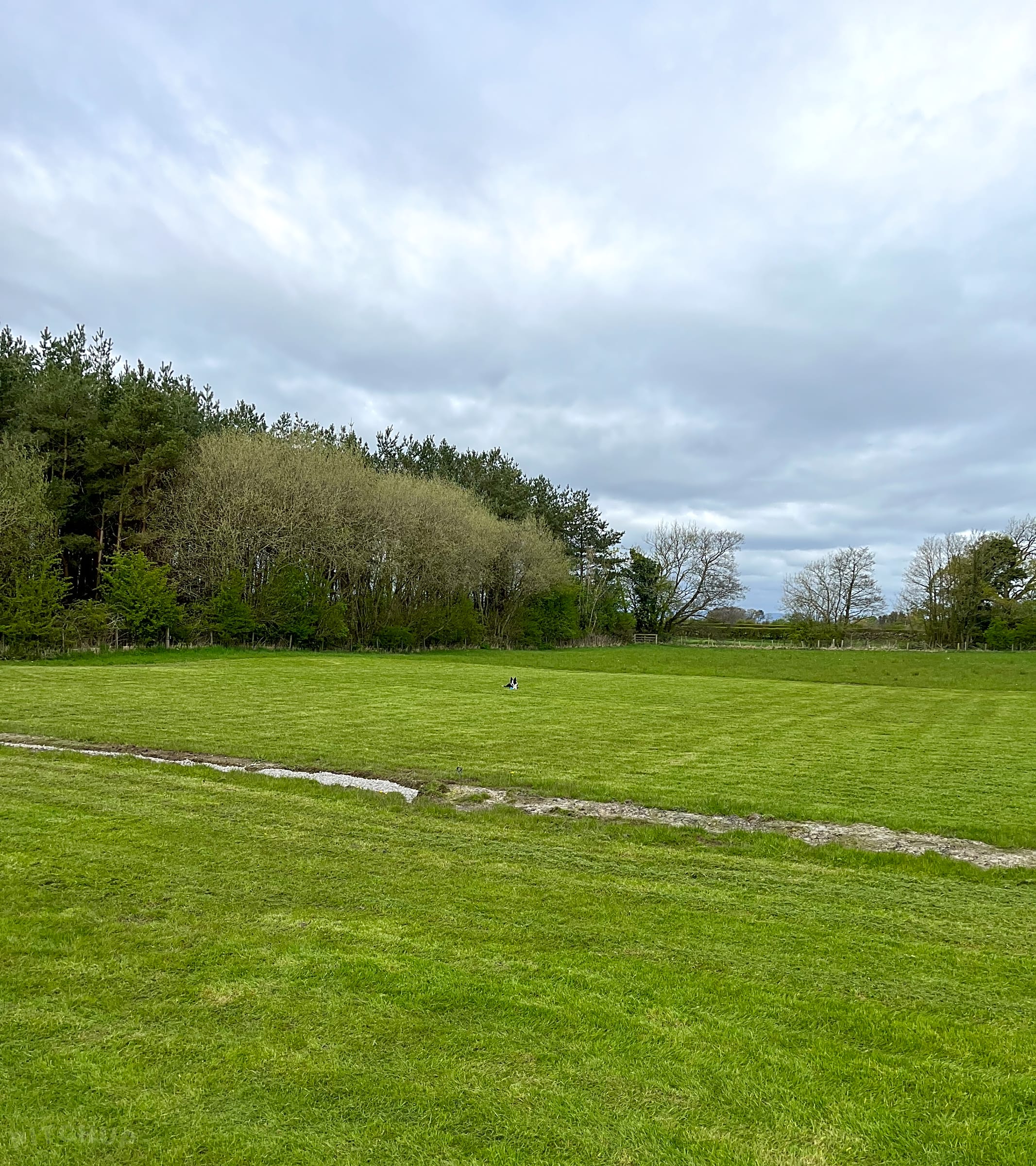 Holme Meadow Camping, Holme, Cumbria - Updated 2026 prices | Pitchup.com