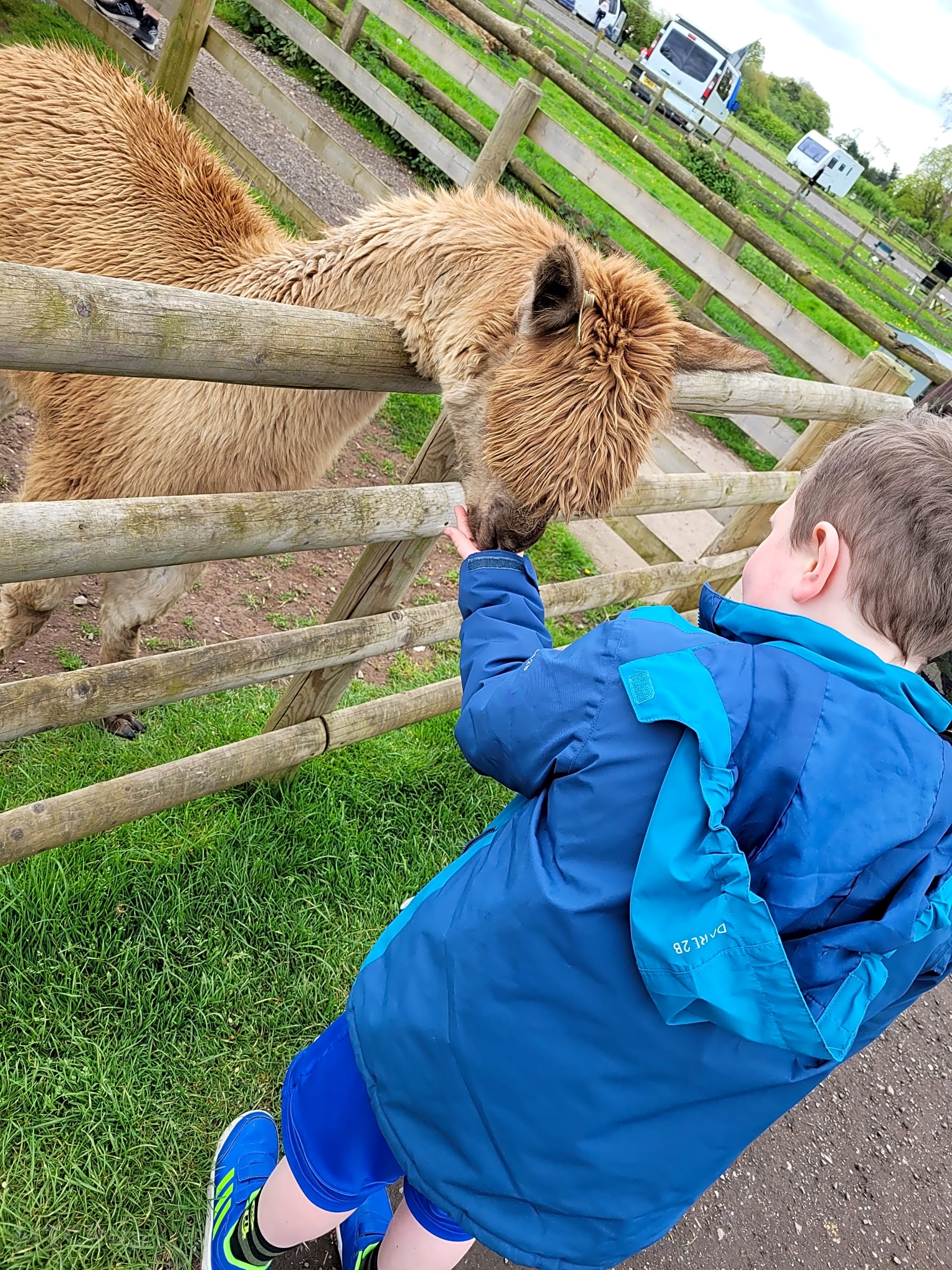 Red Lion Farm Touring Caravan Park, Stafford, Staffordshire | Pitchup.com