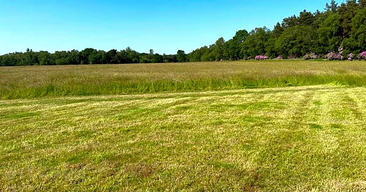 Matlock Farm Park Camping, Matlock | Pitchup.com