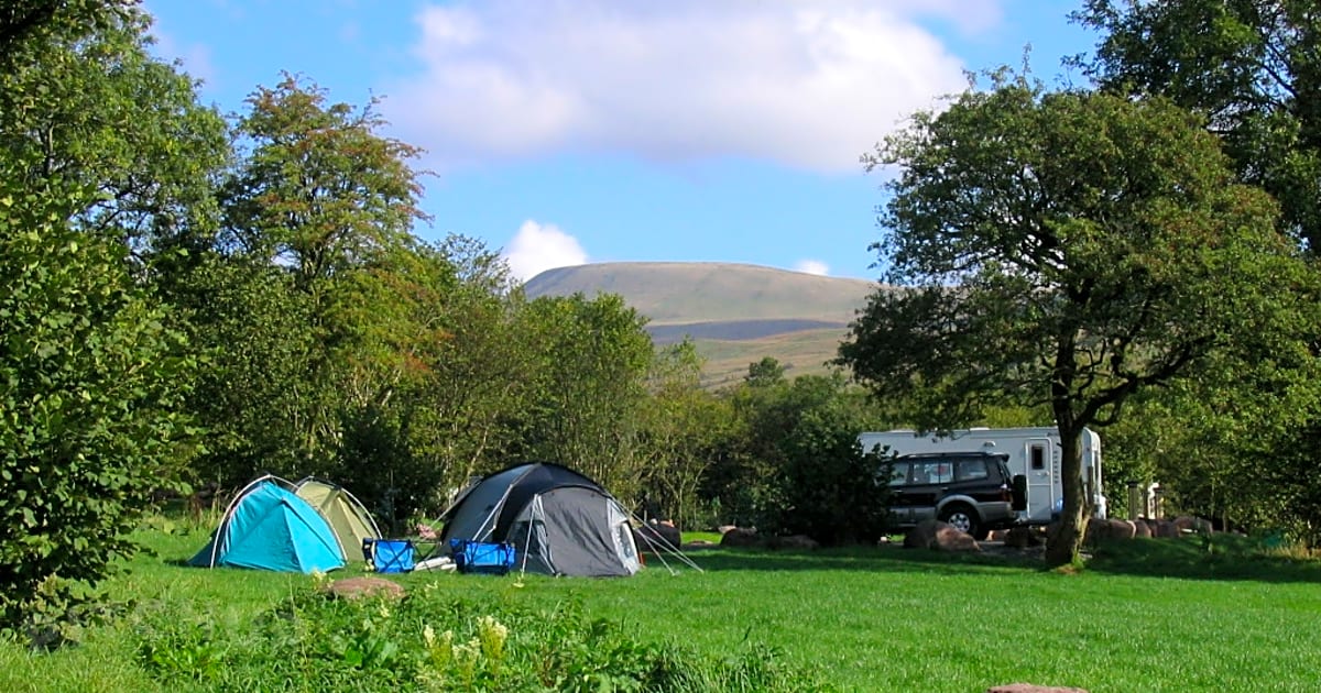 Dan-yr-Ogof Showcaves, Abercraf - Pitchup®