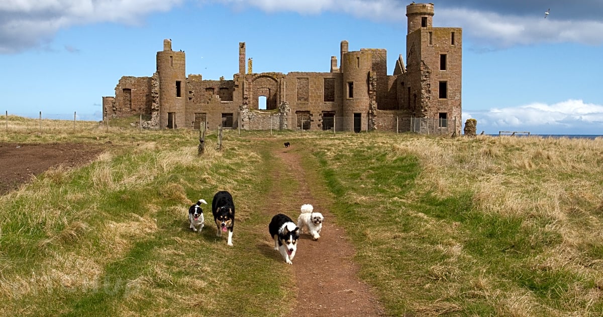 Peterhead Lido Caravan Park, Peterhead - Pitchup®