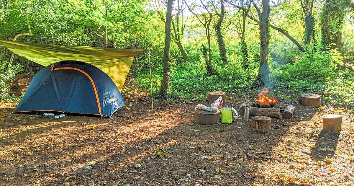 Broadleaf Forest Adventures, North Rode | Pitchup.com