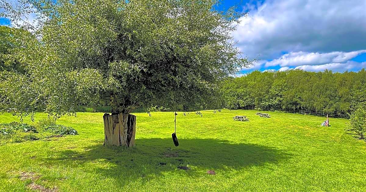 Oak Valley Camping, Rye | Pitchup.com