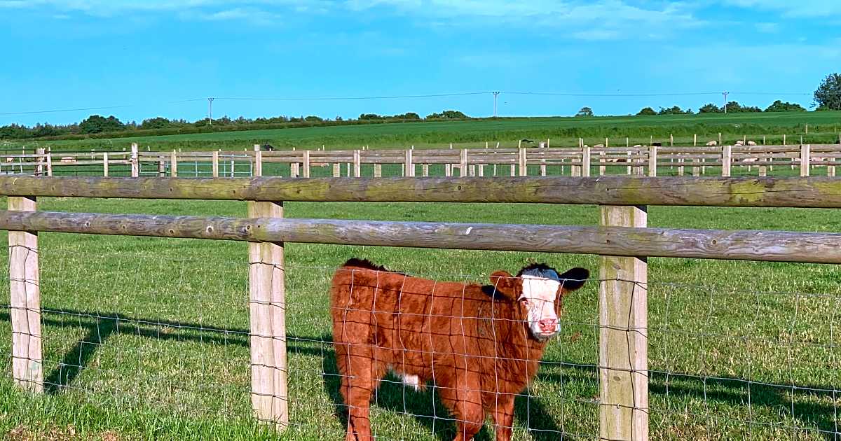 Swithens Farm, Rothwell | Pitchup.com