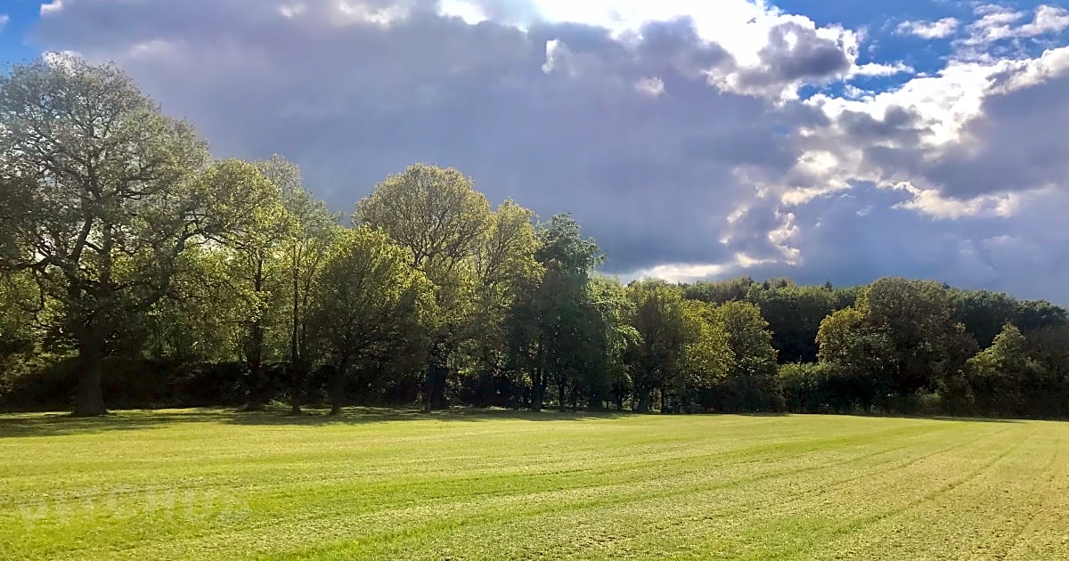 Pool Bridge Farm, York - Updated 2021 prices - Pitchup®