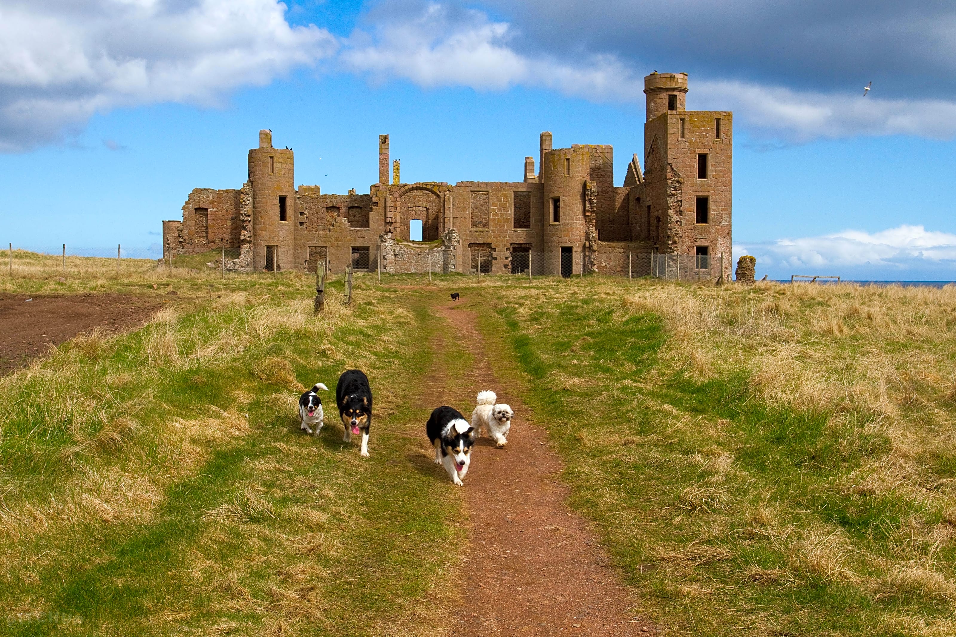Peterhead Lido Caravan Park, Peterhead - Pitchup®