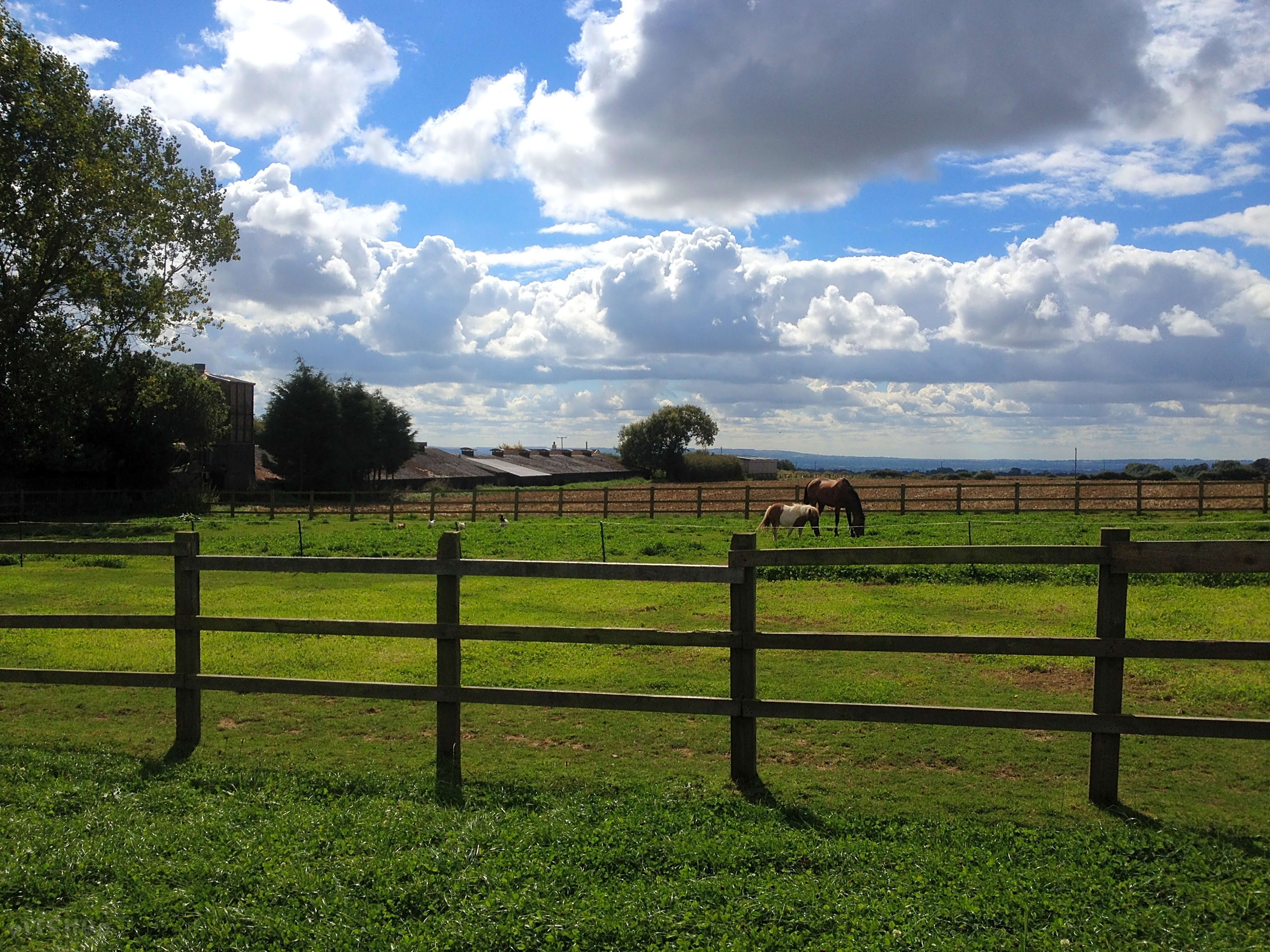 Oak Tree Farm Park, Pickering - Pitchup®