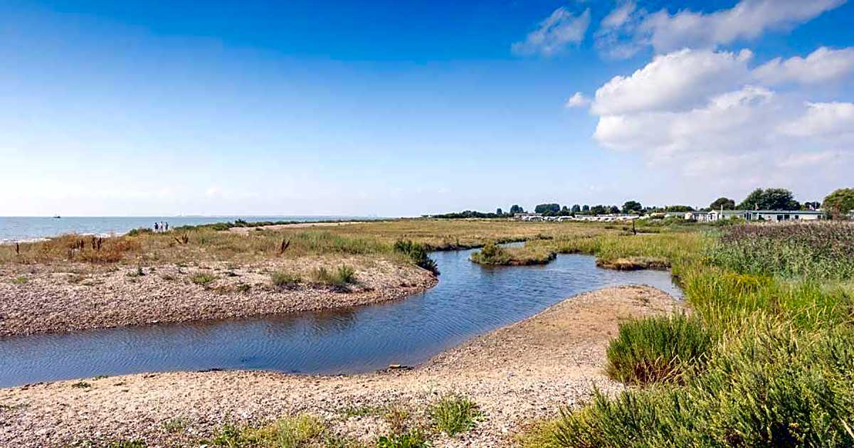 Mersea Island Holiday Park, Colchester - Pitchup®