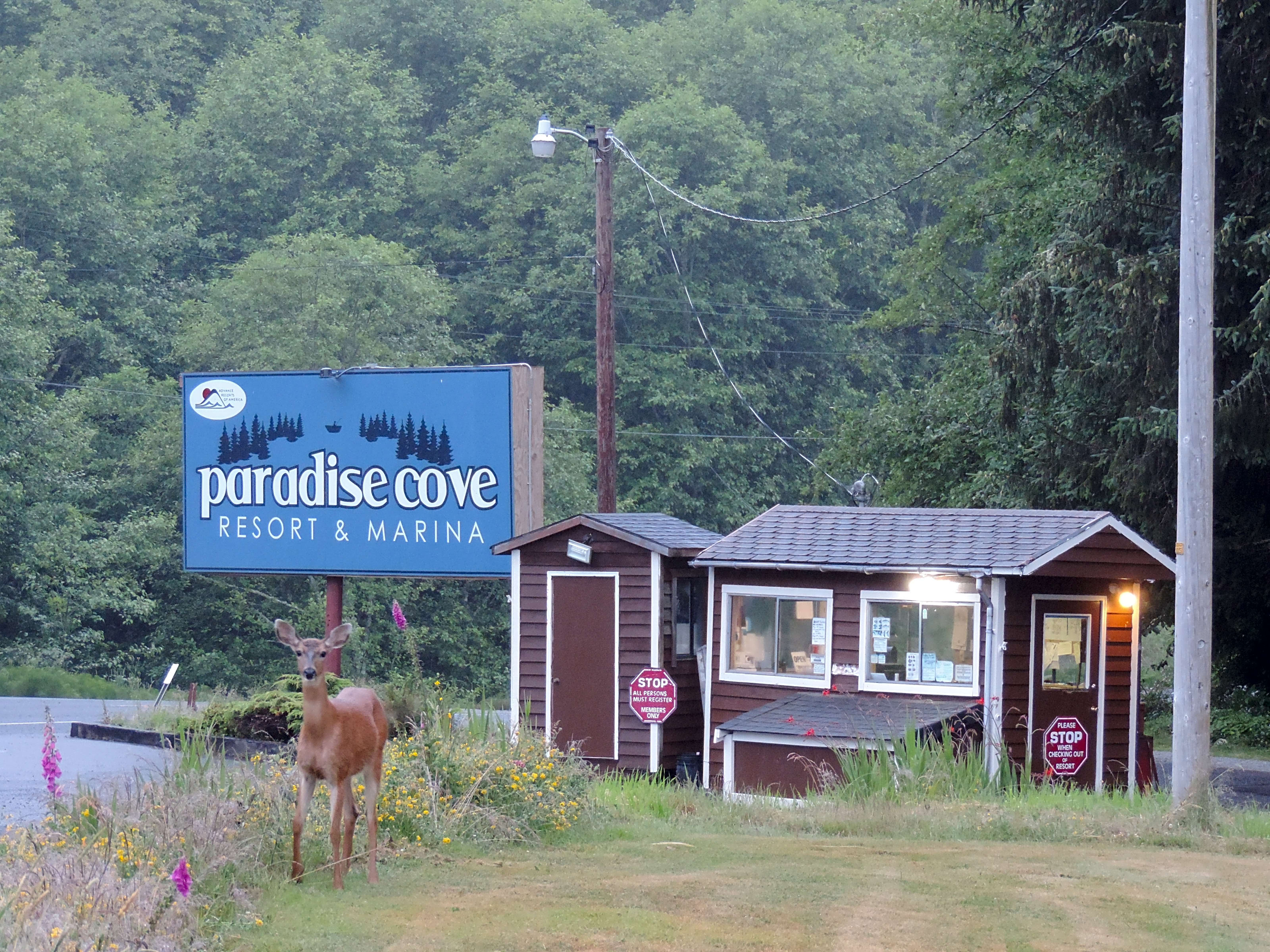 Paradise Cove Resort and Marina, Rockaway Beach - Pitchup®