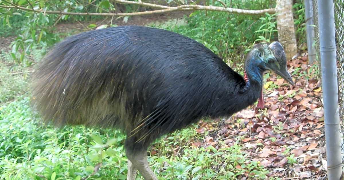 Flying Fish Point Tourist Park, Flying Fish Point | Pitchup.com