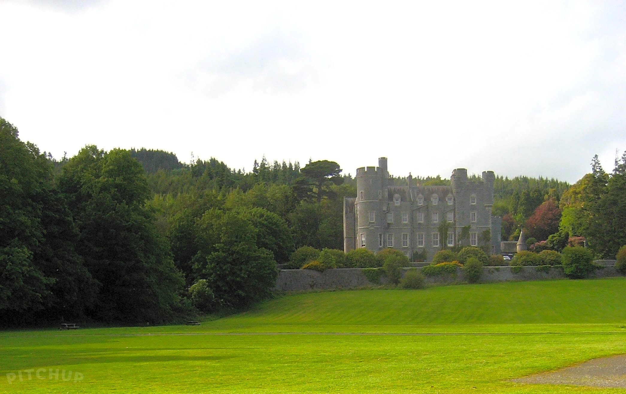 Castlewellan Forest Park, Castlewellan - Pitchup®