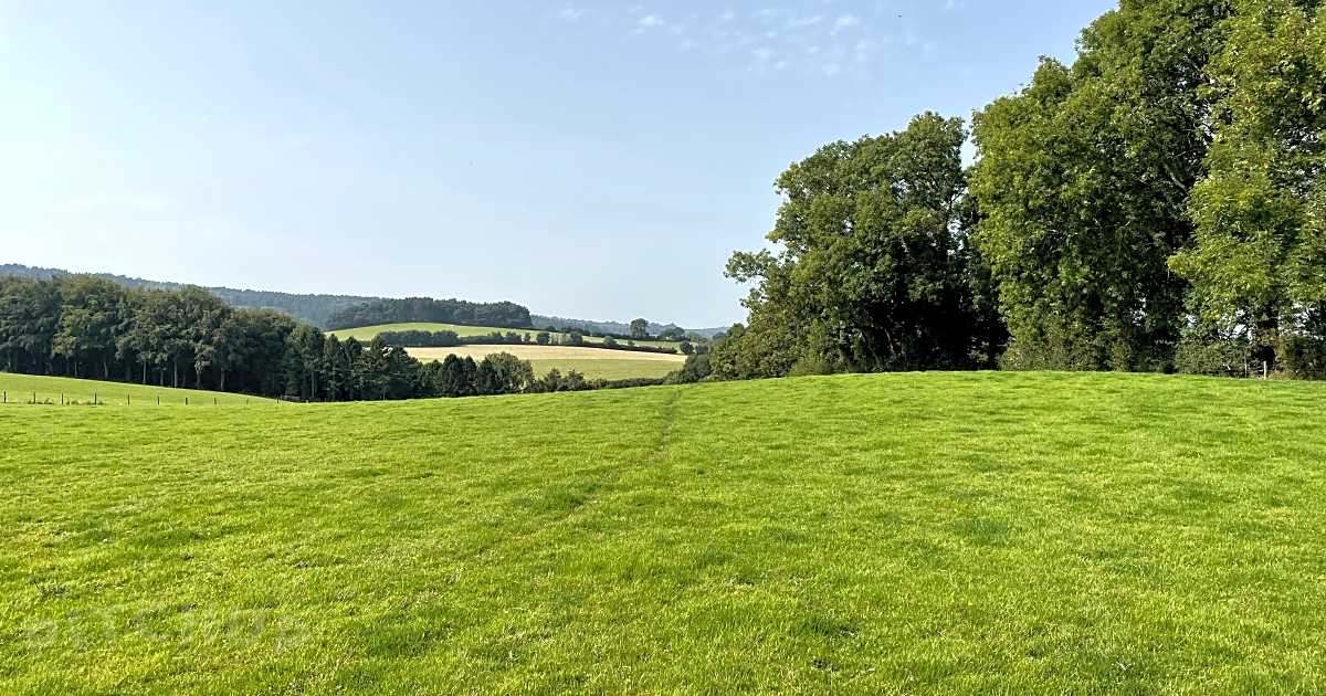 Porlock Vale Campsite, Minehead - Updated 2024 prices | Pitchup.com