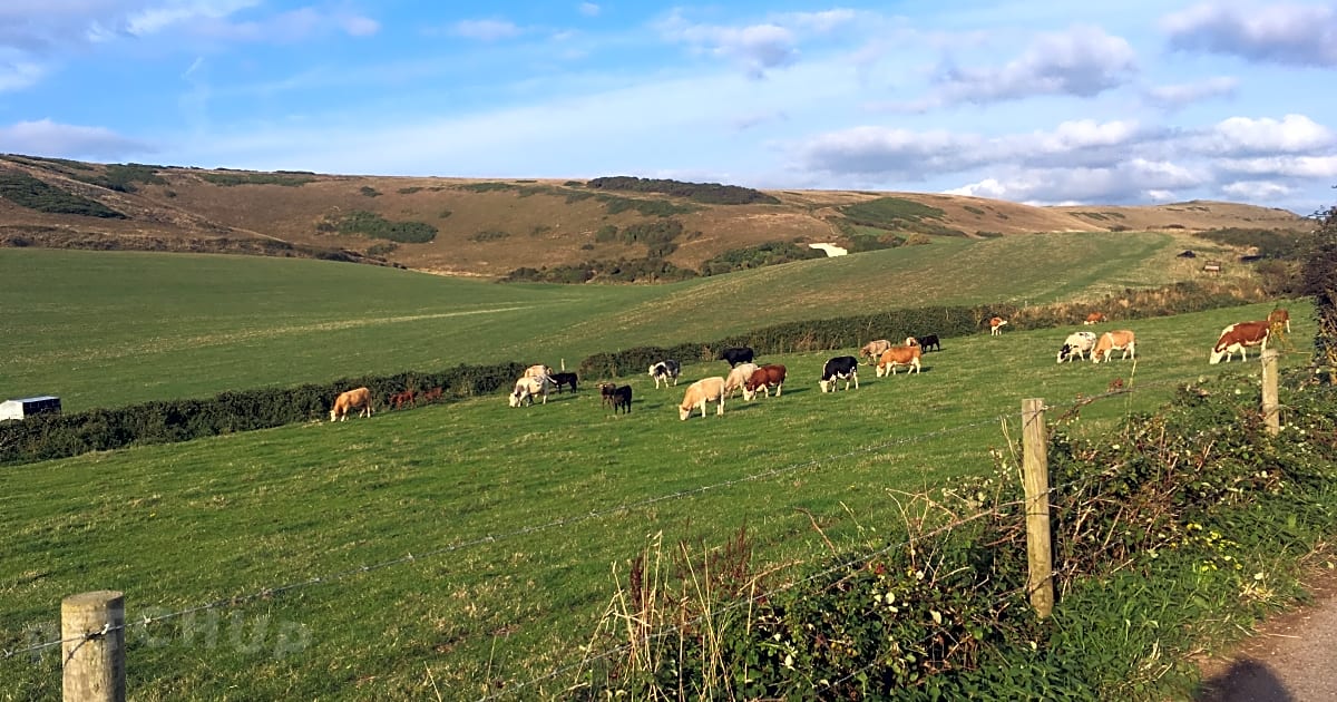 Compton Farm Caravan and Camping, Brighstone - Updated 2021 prices ...