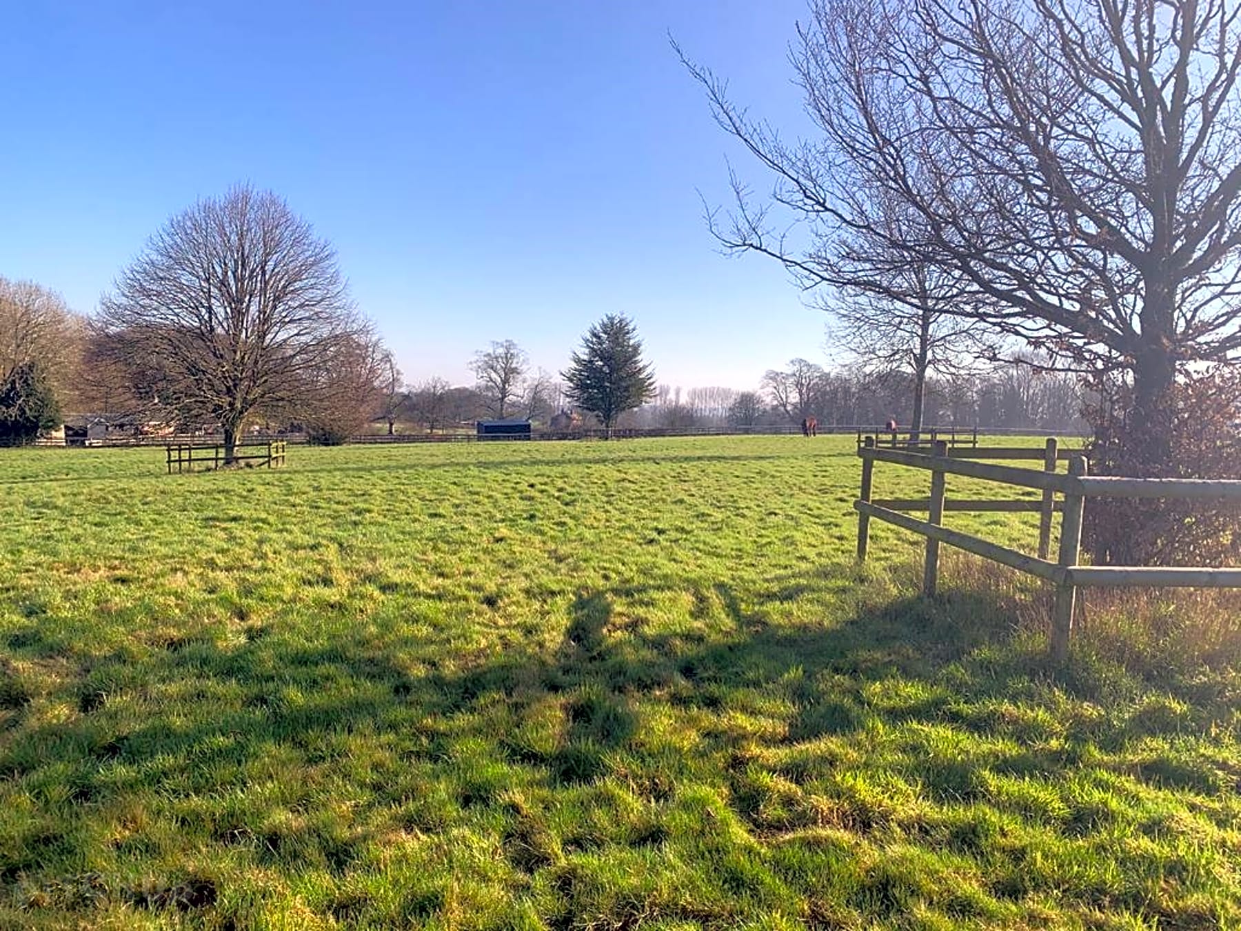 The Red Post Campsite, Bere Regis, Dorset | Pitchup.com