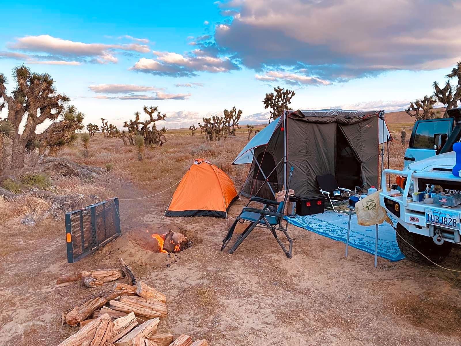 Joshua Tree Ranch, Lancaster, California | Pitchup.com