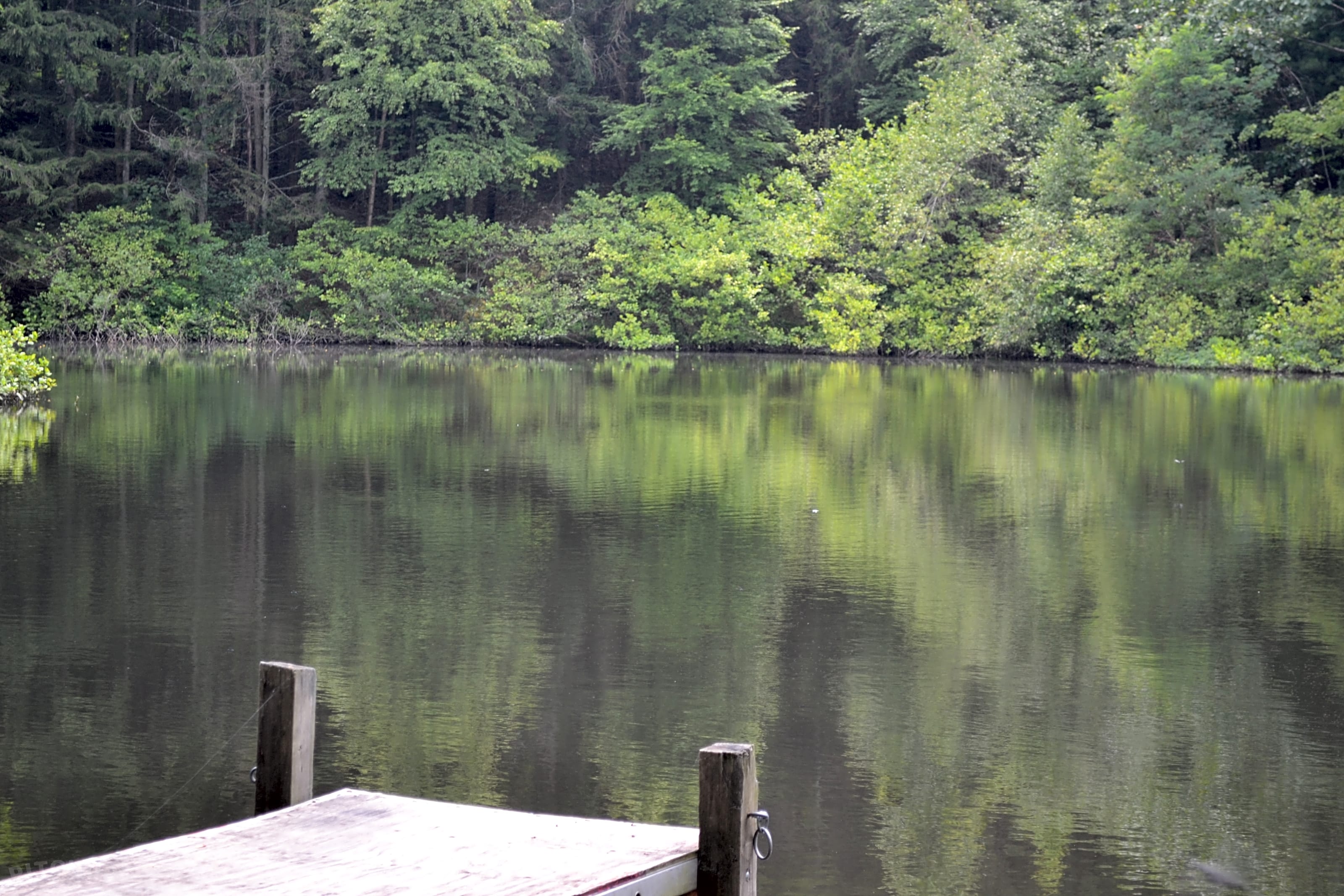 Cranberry Run Campground, East Stroudsburg, Pensilvânia | Pitchup.com