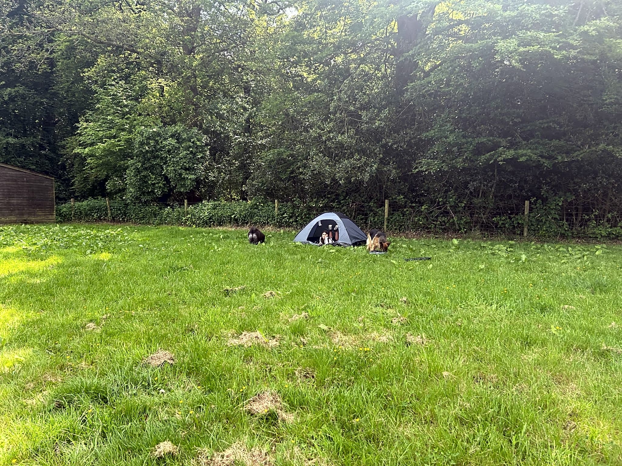 Forget Me Not Farm, Watlington, Oxfordshire | Pitchup.com