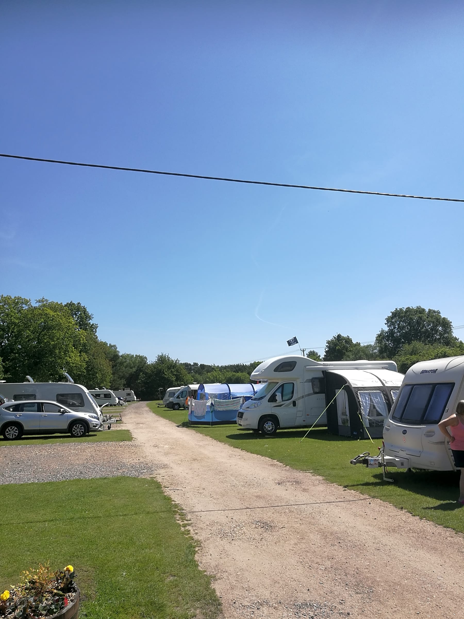 Shamba Holiday Park, Ringwood, Hampshire | Pitchup.com