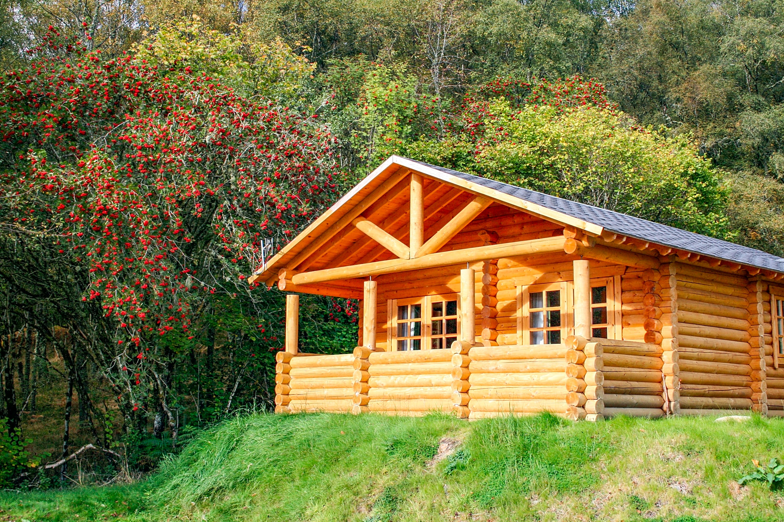 BCC Loch Ness Log Cabins, Inverness, Highlands and Islands | Pitchup.com