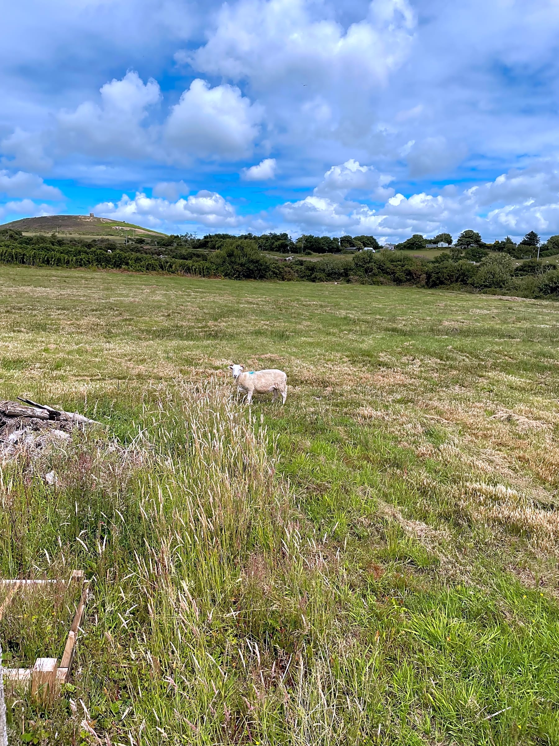 Garej Mynytho Campsite, Pwllheli, Gwynedd - Updated 2026 prices ...