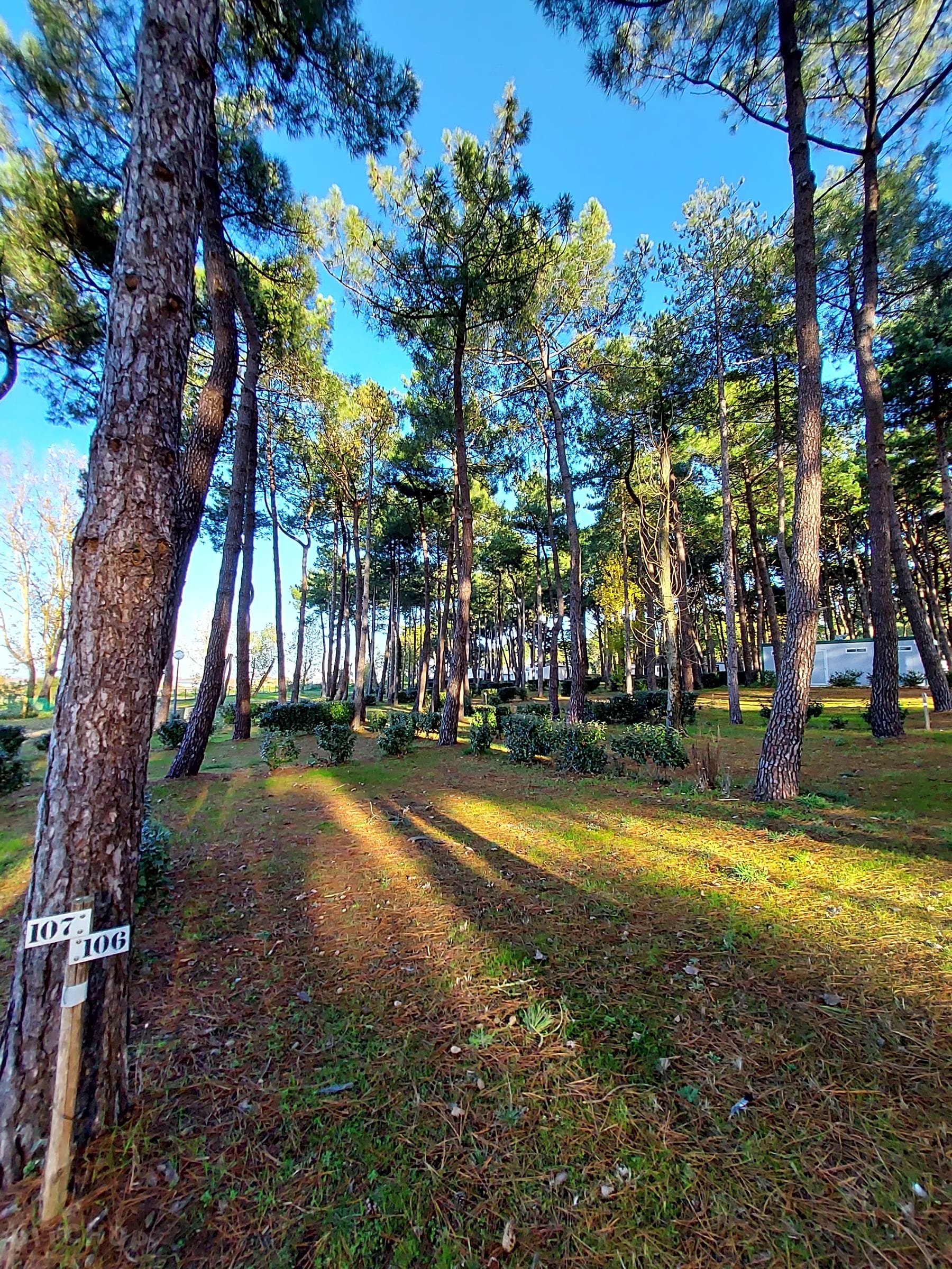 Frankreich: Wohnmobilstellplätze 2026 ab 0,00 €/Nacht | Pitchup.com | 5